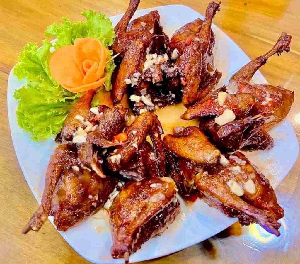 Món ngon từ chim bồ câu mà bạn không thể nào bỏ qua